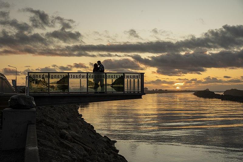 Welcome to the Save Grey District Library Working Group | Save Grey ...